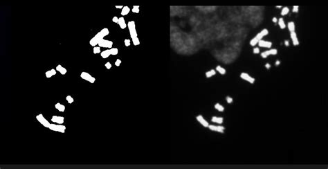 trying to read image with 3 classes · issue 145 · jakeret tf unet · github