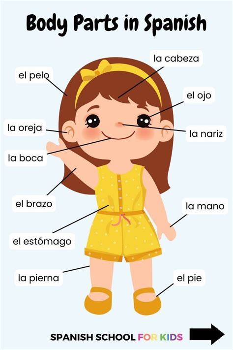 Spanish Language Partes Del Cuerpo Preescolar Lecciones De Lectura Actividades Del Alfabeto