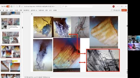 Pfizer Jabbed Growing And Releasing Synthetic Structures Part2