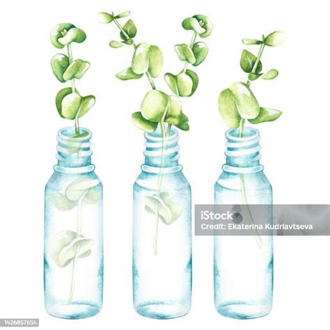 유칼립투스 잎이있는 투명한 병 수채화 그림 흰색 배경에 고립되어 있습니다 0명에 대한 스톡 벡터 아트 및 기타 이미지 0명 건강관리와 의술 그래픽 프린트 Istock