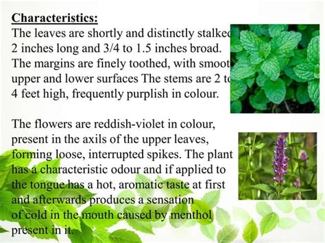 4volatile Oils Pdf Gardening Home And Garden