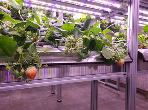 Ai 스마트팜부터 Vr 체험까지문화·놀이공간으로 탈바꿈하는 광주 지하철