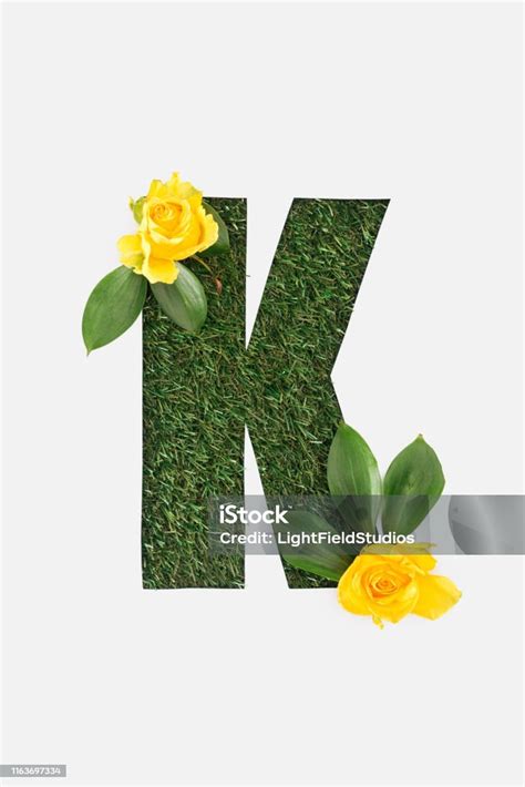 흰색에 고립 된 잎과 노란색 장미와 녹색 잔디 배경에 K 문자를 잘라의 상단보기 0명에 대한 스톡 사진 및 기타 이미지 0명