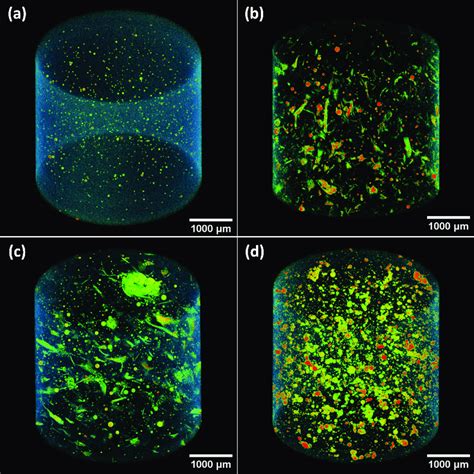 3d Micro Ct Reconstruction Of Electrospun Fiber Reinforced Geopolymer Download Scientific