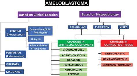 Ameloblastoma Histology Types