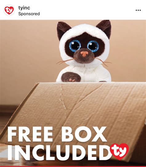 Ty Knows Whats Up Rthecattrapisworking