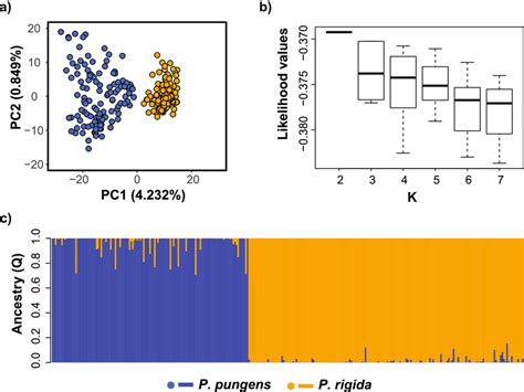 measures of genetic differentiation and diversity among sampled trees