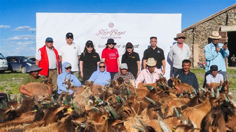 Монголын Ноос Ноолуурын Монголын Ноос Ноолуурын Холбоо