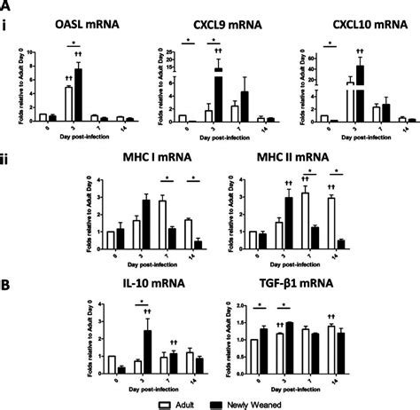Differential Isg And Regulatory Cytokine Responses Between Ferrets In