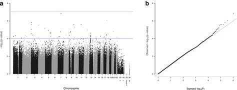 manhattan plot of genome wide association signals between snps and