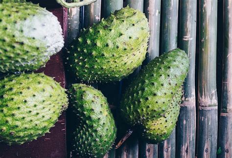 Soursop Fruit Cancer Soursop Shows Promising Potential In Fight