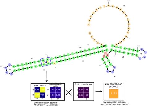 Physical Meaning Of 2d Convolution On Bpp Matrix Illustrated Here We Download Scientific