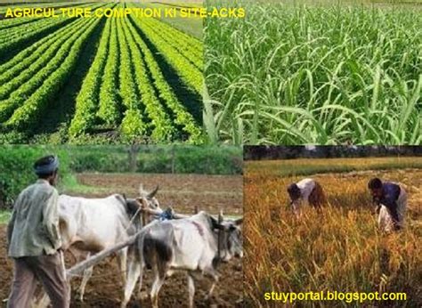 BASIC PRINCIPLES FOR CROP PRODUCTION VISIT ME INDIA