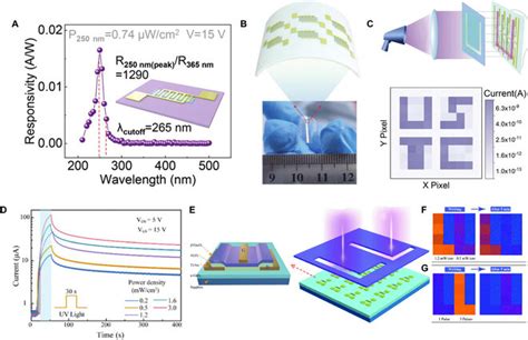 A Spectral Responsivity Of The Device And The Inset Is The Download Scientific Diagram