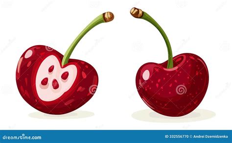 Two Cherry Flat Cartoon Illustrations On A White Background Stock