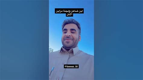 سر ابن ضاعن واللجنة مزاين الابل Youtube