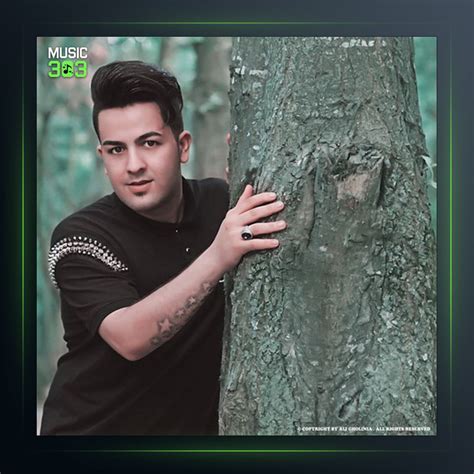 دانلود آهنگ دل زخمی از مجید حسینی متن کامل موزیک