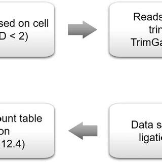 Sci RNA Seq3 Data Preprocessing Workflow Download Scientific Diagram