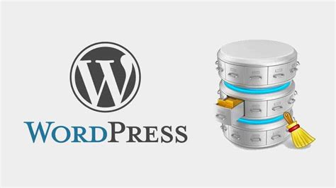 colonne unique et primary key pour wp options skyminds