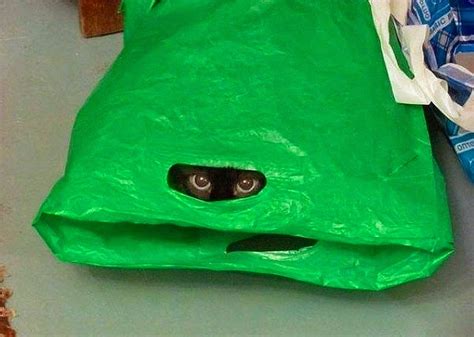 Funny Pictures Part Best Way To Fun