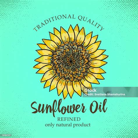 정제 된 해바라기 기름에 대한 라벨 디자인 템플릿 해바라기 기름 해바라기 포장 천연 화장품 건강 관리 제품에 대한 청록색 배경에 손으로 그린 해바라기가있는 벡터