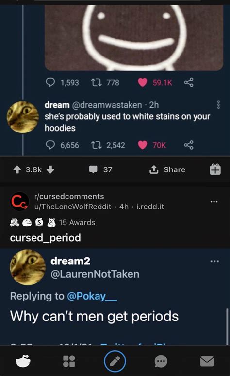 2 different post have 2 different users using the same cat pic scrolller