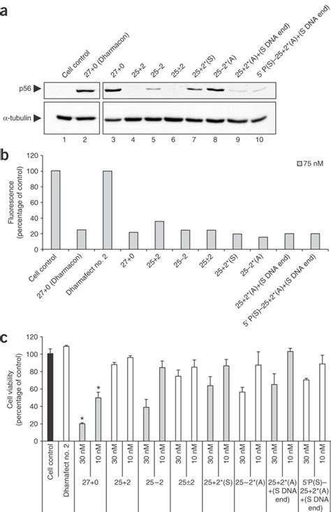 Modulating The Activation Of Dsrna Signaling And Rnai Through