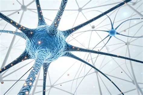 Exploring The Neural Networks Unlocking The Power Of The Human Mind Stock Illustration