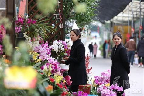 重庆：花卉市场逐渐“升温” 人民图片网