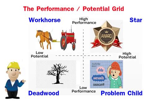 Hr แนวคิดในการจัดกลุ่มผลการปฏิบัติงานและศักยภาพในการทำงาน The Performance Potential Grid