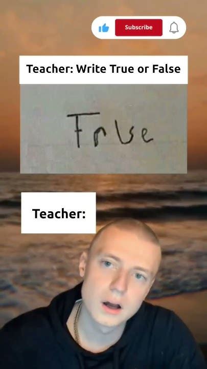 true or false programming programmer youtube