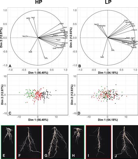 biplots generated from pca with the percentage of variance explained by
