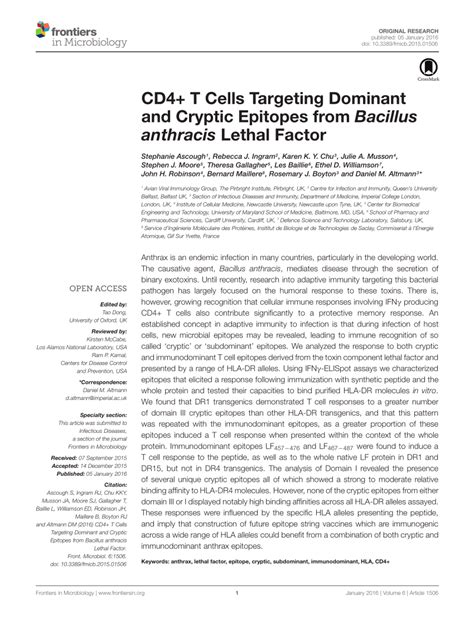 Pdf Cd4 T Cells Targeting Dominant And Cryptic Epitopes From