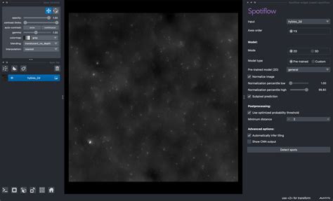 Predicting Spots Using The Napari Plugin Spotiflow 058 Documentation
