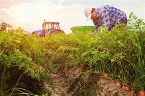 Nonconventional Farming What Is It Country Tracts