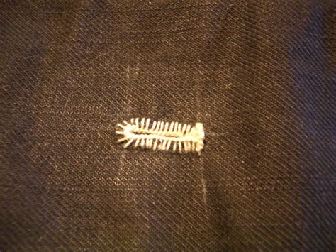 Asole A Mano Come Fare Unasola A Mano Da Sola Tutorial