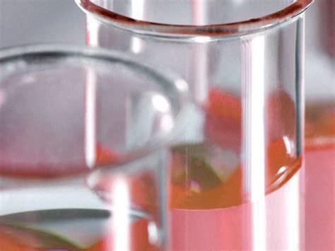 Enhancing Bioprocess Efficiency In The Life Sciences Industry Endress Hauser