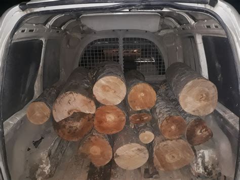 Konfisohen Drunj Që Dyshohet Se Janë Kontrabanduar Në Podujevë