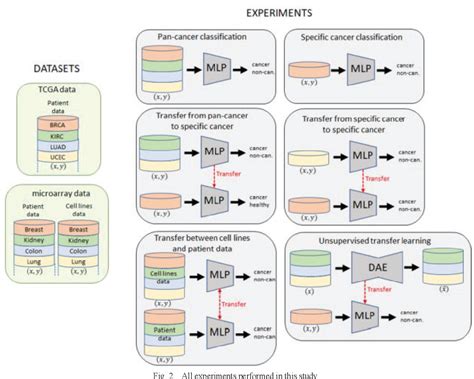 Figure 1 From Assessing The Impact Of Different Types Of Regularization Techniques In Deep