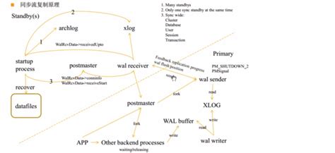 postgresql 流复制搭建主从环境，同步和异步的解释，压力测试，主从角色切换 学习笔记 阿里云开发者社区