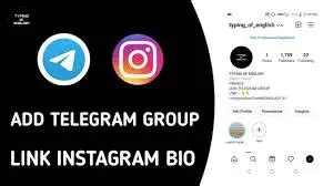 How To Add A Telegram Link To Your Instagram Bio A Step By Step Guide Blog ViralBlade