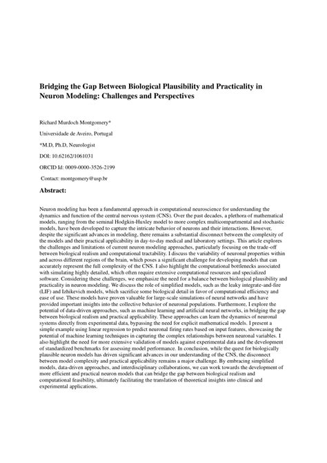 Pdf Bridging The Gap Between Biological Plausibility And Practicality In Neuron Modeling