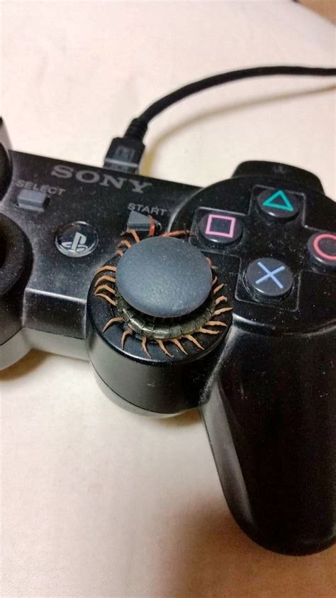 Looks Like The PS3 Controller Has Been Possessed By The Immortal Centipede R Sekiro