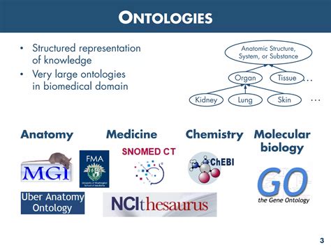 Evolution Of Ontology Based Mappings Ppt