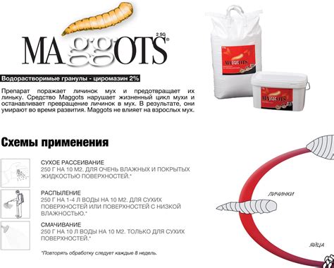 Магготс