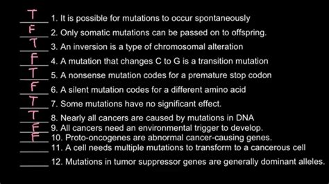 Questions About Genetics With Answers