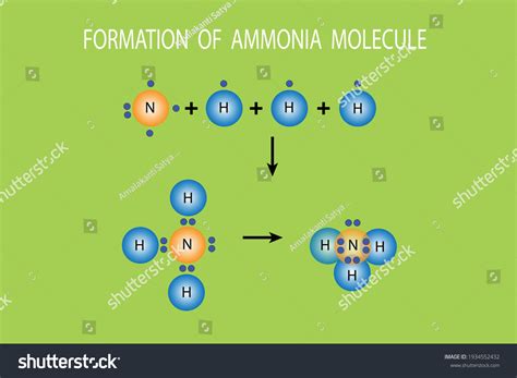 Vector Diagram Show Formation Ammonia Molecule เวกเตอร์สต็อก ปลอดค่า