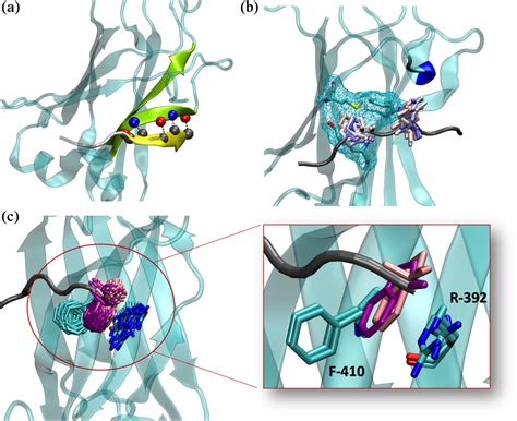 Molecular Determinants Of Traf6 Binding Specificity Suggest That Native Interaction Partners Are
