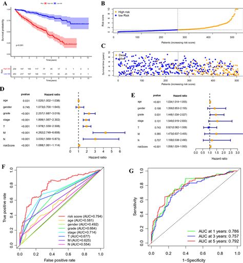 Correlation Between The Predictive Signature And Prognosis Of Patients